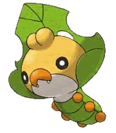 V Generation V The New Pokémon