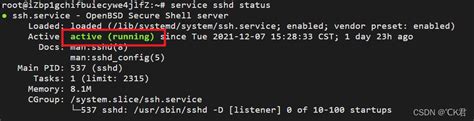【ssh连接阿里云服务器失败解决办法】 Csdn博客