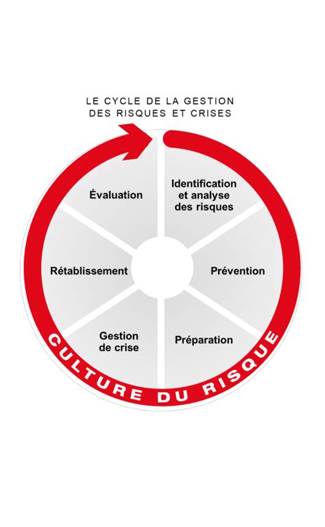 Le Cycle Du Risque Cortex
