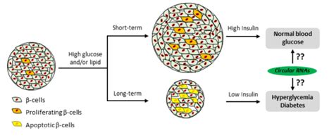Dr Amaresh C Panda Institute Of Life Sciences Bbsr Department Of