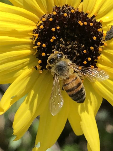 52frames Weekly Photo Challenge Project