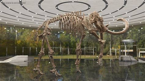 Mammoth Skeleton Old Bones Rigged For Cinema 4d 3d Model 199 C4d