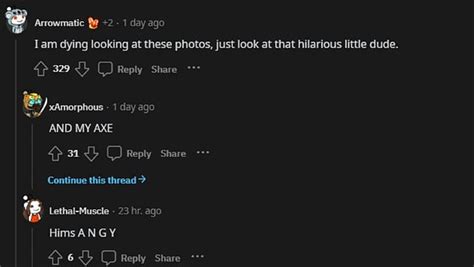 Short King Pokemon Go Community Reminisces Rhyperior Debut And Its Wrong Size