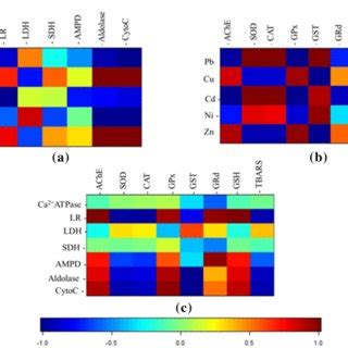 Cross Correlation Matrices Illustrating Similarity In Between