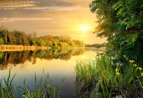 Evening On River Stock Image Image Of Landscape Nature 71956359