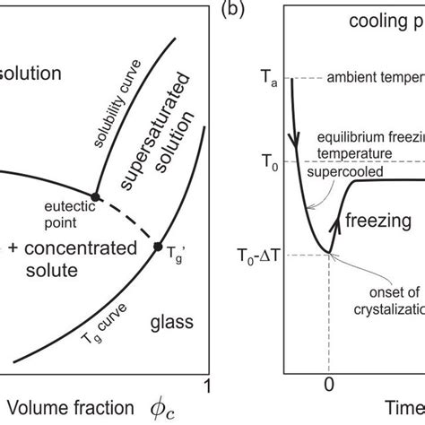 A Temperature Composition Phase Diagram Of A Binary Protein Solution
