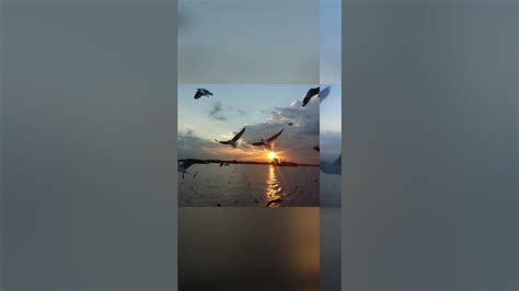 🎶မိုးယံမှသည် ချစ်သူဆီသို့ 🎤ကျောက်ပန်းတောင်းပျိုလုမောင် ဆိုင်း Youtube