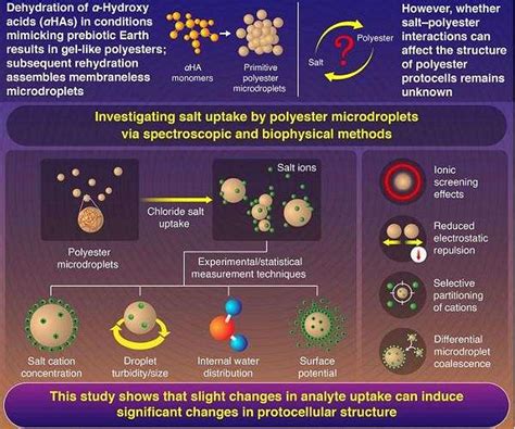 How Early Earth Supported The Formation Of Polyester Protocells