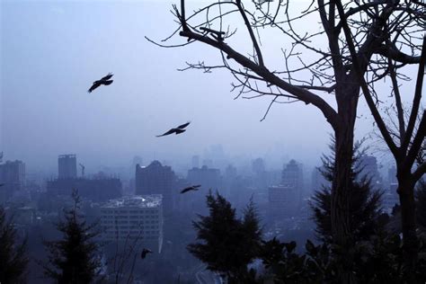 Time To Assign Responsibility Financialtribune