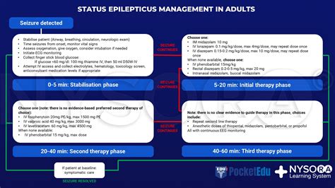 Status Epilepticus Death At Thomas Marriott Blog