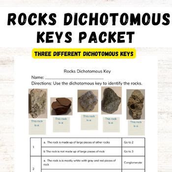 Dichotomous Key Worksheet Science Rock Identification
