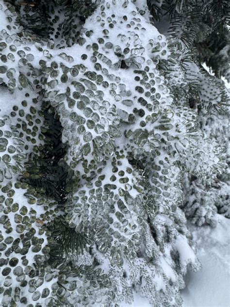 Frozen Raindrops Skyspy Photos Images Video