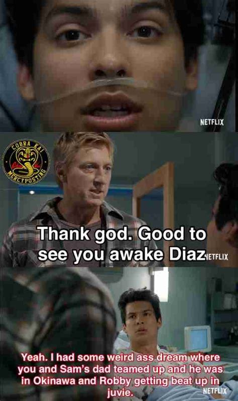 40 Hilarious Cobra Kai Memes Guide 4 Moms
