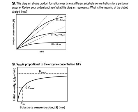 Enzyme Substrate Concentration Graph