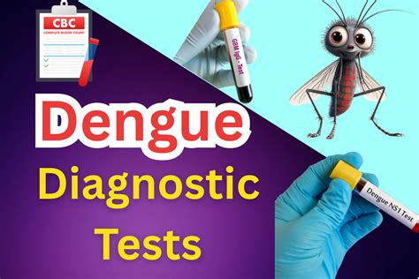Dengue Detection Methods The Complete Guide To Early And Accurate Diagnosis Physio Talk Official