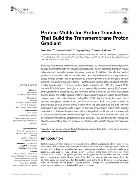 Pdf Protein Motifs For Proton Transfers That Build The Transmembrane Proton Gradient