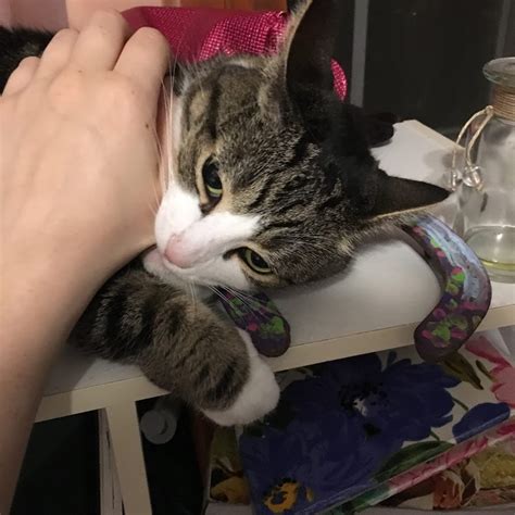 Agikgqoq2palje6c4c6hektblgfikgdmfm2mtskhnzfegg S900 C K C0x00ffffff No Rj