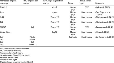 Combined Rnascope And Or Immunohistochemistry Staining On Brain Tissues Download Scientific
