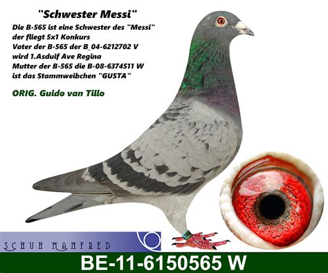 Van Tillo August Wouters