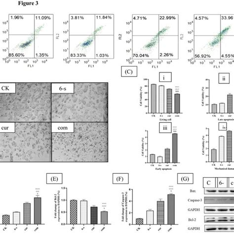 Bimal Chitrakar Associate Professor D Eng Food Sci And Eng M Phil Food Sci B Tech