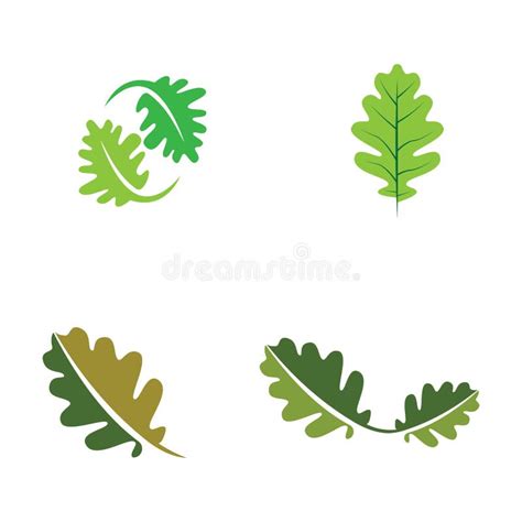 Vector Oak Leaf Logo Template Stock Vector Illustration Of Environment Leaf 254450628