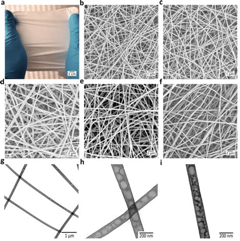 Nanofiber Structure And Surface Morphology Of The Electrospun Mats A