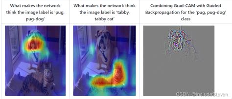 Pytorch可视化pytorch 权重可视化 Csdn博客