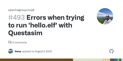 Errors When Trying To Run Helloelf With Questasim · Issue 493
