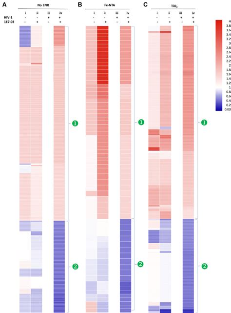 heatmap analysis of host phosphoproteins affected by 1e7 03