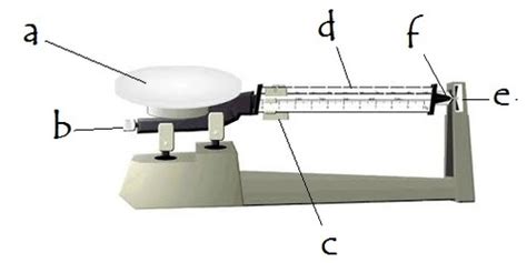 Triple Beam Balance Diagram Labeled The Best Picture Of Beam