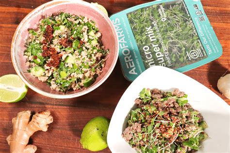 Micro Super Mix Laab Aerofarms