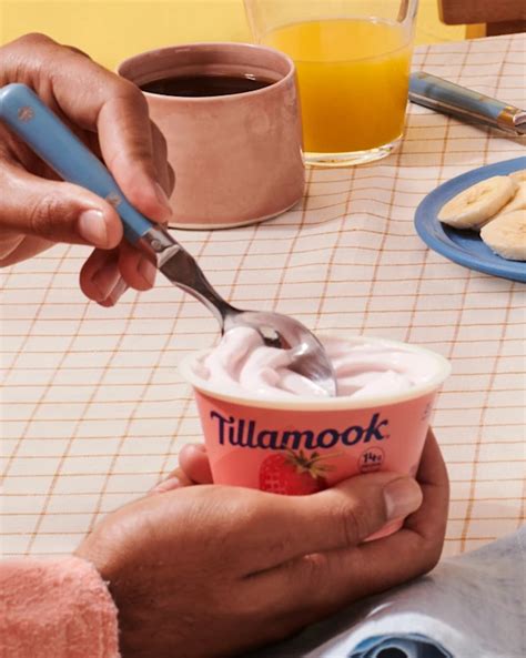 Tillamook Greek Yogurt Active Probiotic Yogurt Tillamook