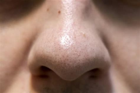 Close Up Of A Human Nose Highlighting Texture And Details Of Skin Perfect For Beauty And