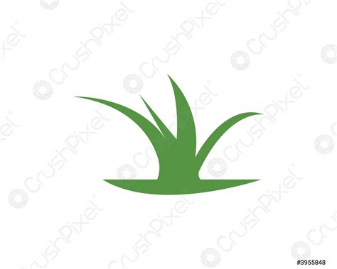 Grass Vector Illustration Template Stock Vector 3955848 Crushpixel