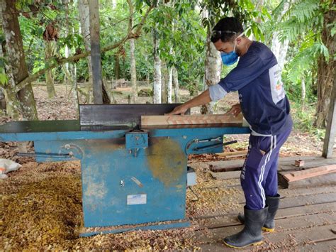 Marquetry Course Is Offered To Mid Juruá Timber Workers Instituto Juruá