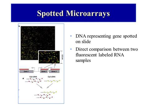 Affymetrix Vs Glass Slide Based Arrays Ppt Video Online Download