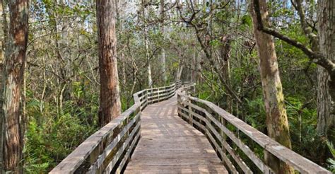 This Easy 225 Mile Florida Hike Is One Of The States Most Rewarding Walks