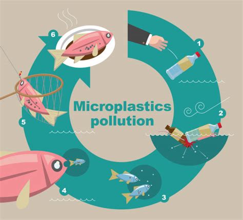 Microplastic Pollution Illustrations Royalty Free Vector Graphics