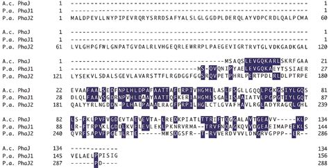 Figure 1 From Investigation Of Metabolic Pathways For Biopolyester Production Semantic Scholar