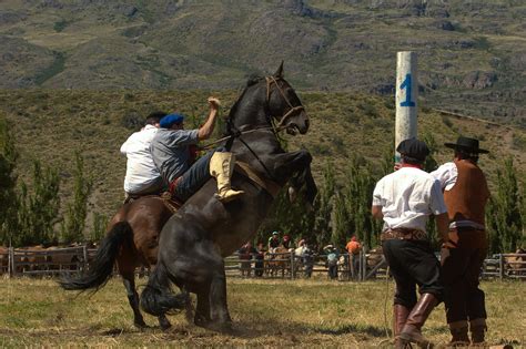 20 Free Aysen Evreleri And Aysen Images Pixabay