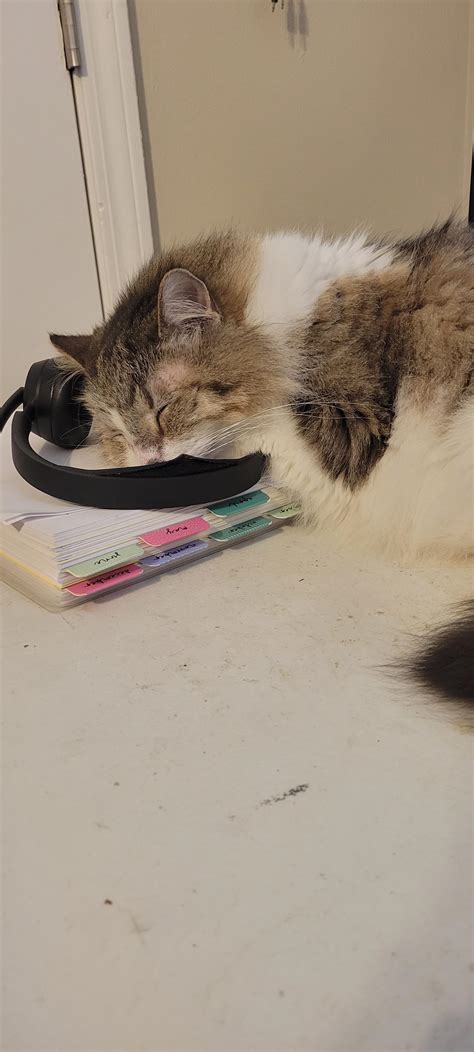 Say Hi To Carter Album On Imgur