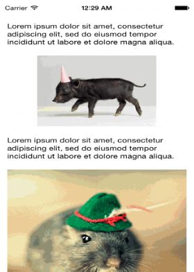 React Native Lightbox StudySection Blog