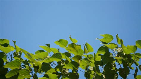 Mary Hipayo Photography