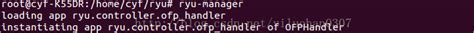 ubuntu下ryu安装指南 csdn博客