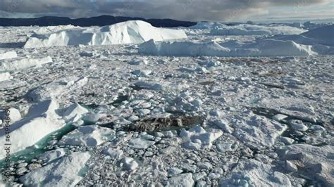 Greenland Ilulissat Icefjord Aerial View Iceberg And Glacier Ice In