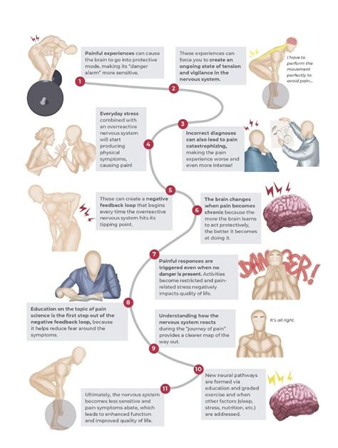 Ali Alkhaldi On Linkedin Chronic Pain Fear Avoidance Model This