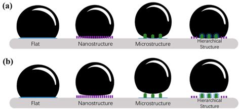 Superhydrophobic And Antibacterial Hierarchical Surface Fabricated By Femtosecond Laser
