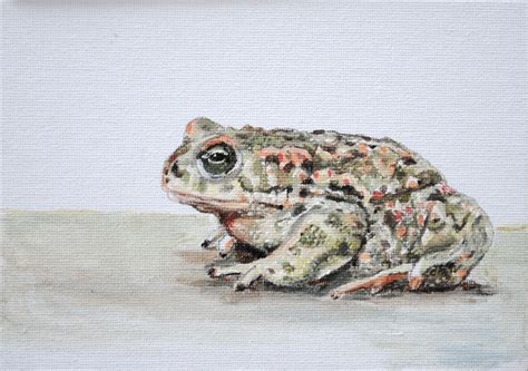 Natterjack Toad Oil On Board Kilcock Art Gallery