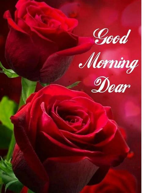 Good Morning Dear