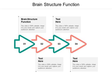 Brain Structure Function Ppt Powerpoint Presentation Portfolio Slides